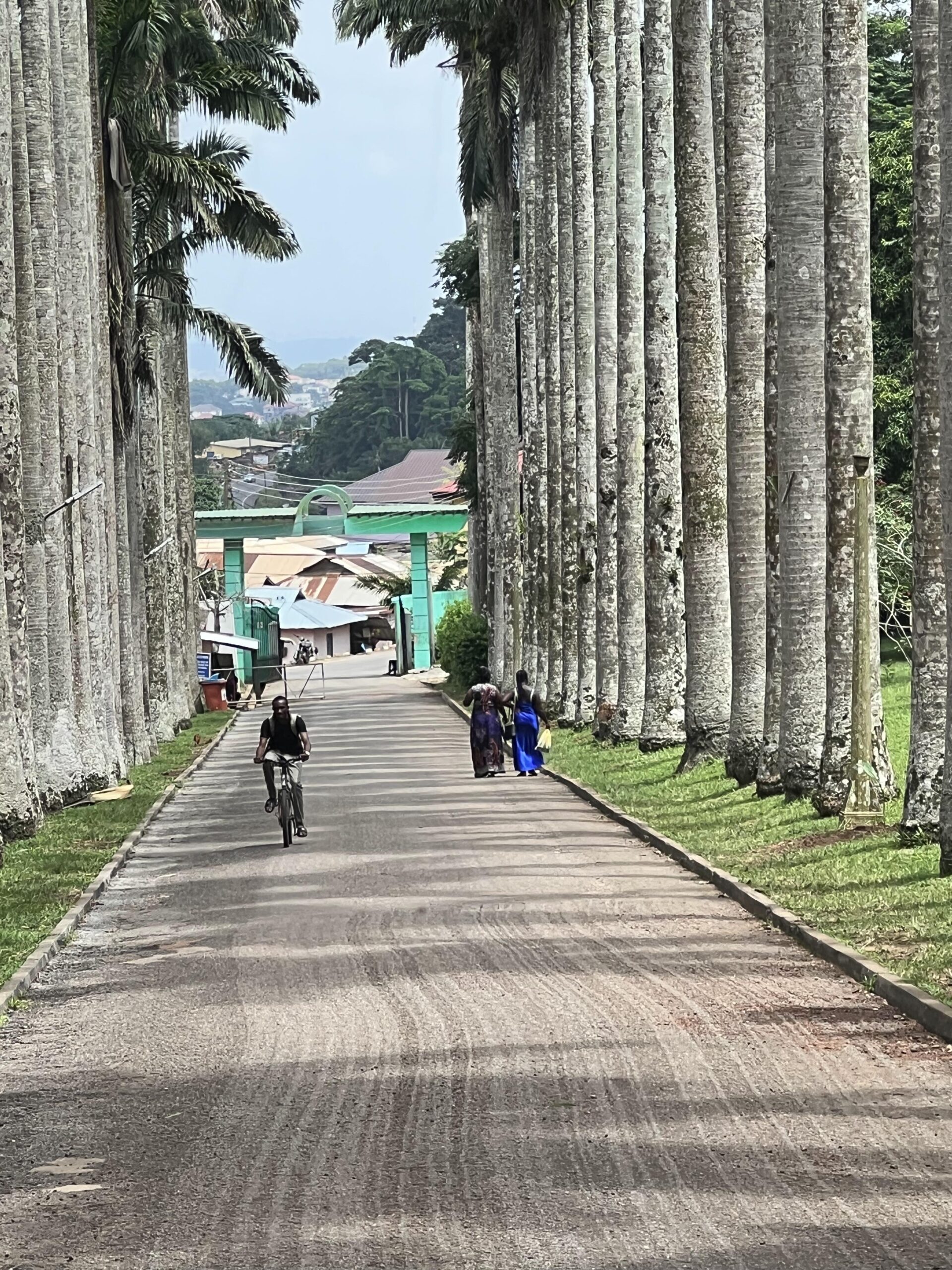 Aburi Botanical Gardens – Ancestral Tours