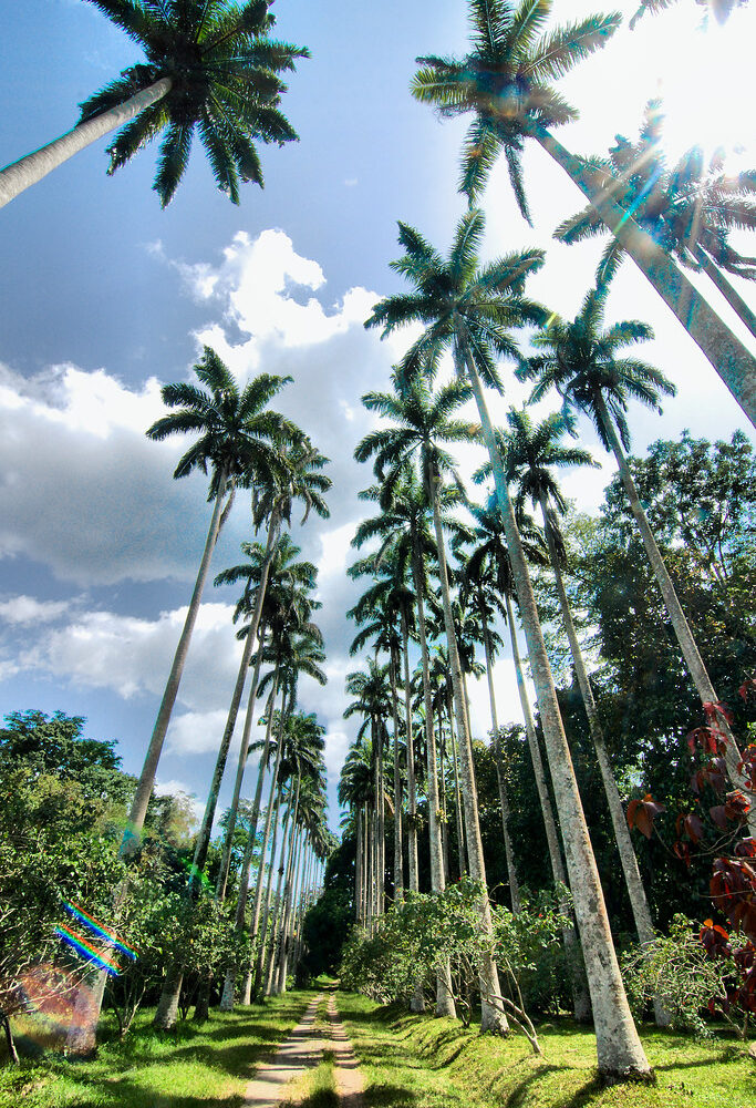 Bunso Eco Park – Ancestral Tours